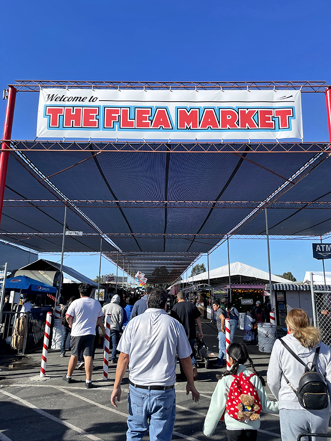 Walking through these gates feels like entering a wonderland where every booth holds potential magic and surprises.