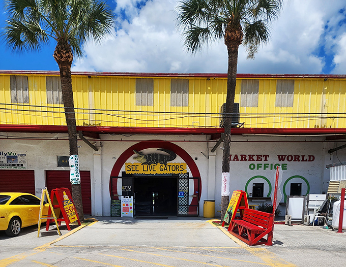 The entrance says it all &ndash; part carnival barker, part Florida kitsch. Where else can you shop for antiques AND see live gators in the same afternoon?