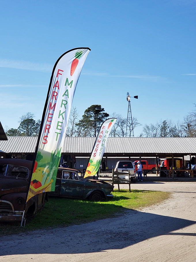 Colorful "Farmers Market" flags flutter in the Georgia breeze, standing like beacons for bargain hunters against that perfect blue Savannah sky.