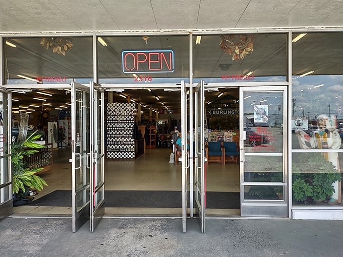 Through these glass doors lies a wonderland where every step reveals another piece of forgotten history.