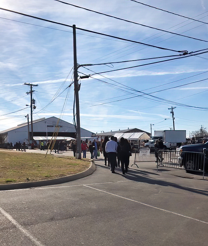 The path to discovery begins here, as shoppers make their pilgrimage toward the market sheds under Tennessee's big blue sky.