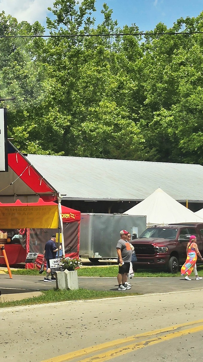 Nature provides the perfect backdrop for this treasure hunter's paradise, where colorful tents and eager shoppers create the timeless dance of commerce and discovery.