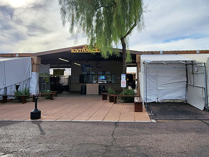 "Entrance" might be understated – this is really a portal to a wonderland of collectibles and curiosities waiting to be discovered.