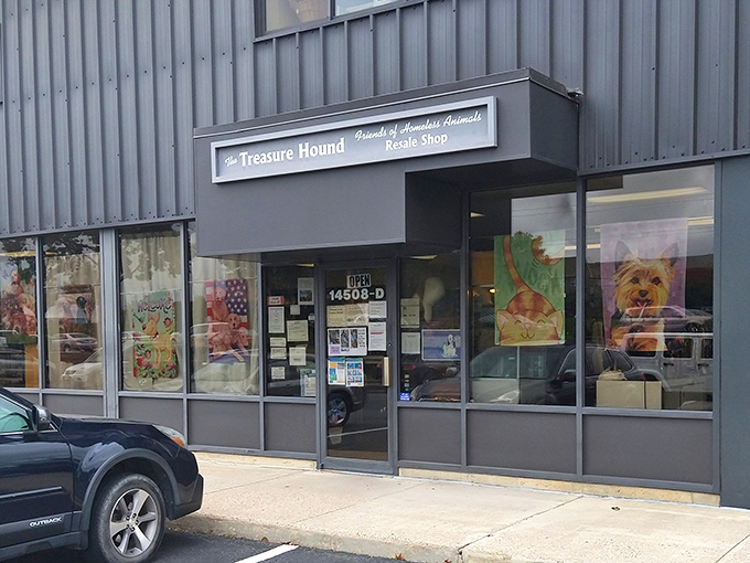 "Friends of Homeless Animals" isn't just a tagline&mdash;every purchase at The Treasure Hound supports furry friends in need. Shopping with purpose never looked so good.