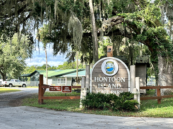 The entrance sign stands sentinel beneath Spanish moss chandeliers, nature's way of saying "the fancy part of Florida awaits beyond this point."