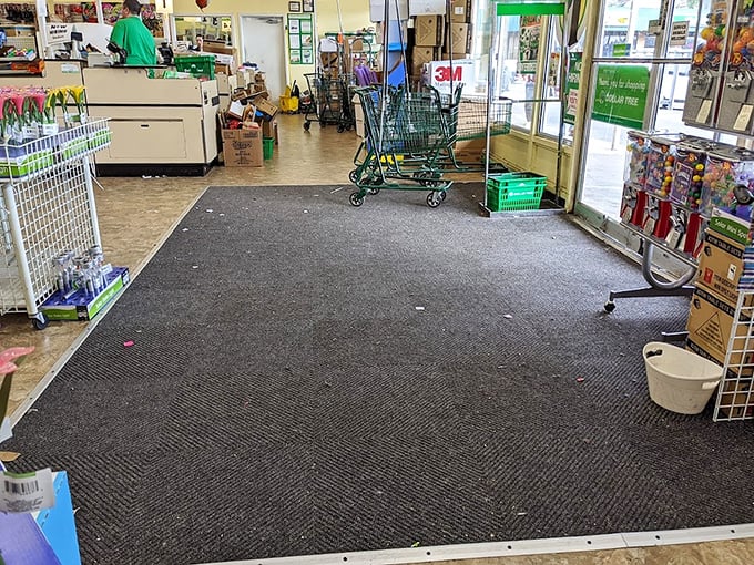 Step inside where spacious aisles and organized displays prove discount shopping doesn't mean compromising comfort or convenience.