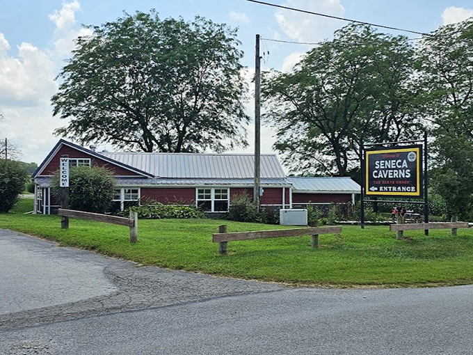 The entrance looks deceptively ordinary, like Clark Kent before he finds a phone booth.