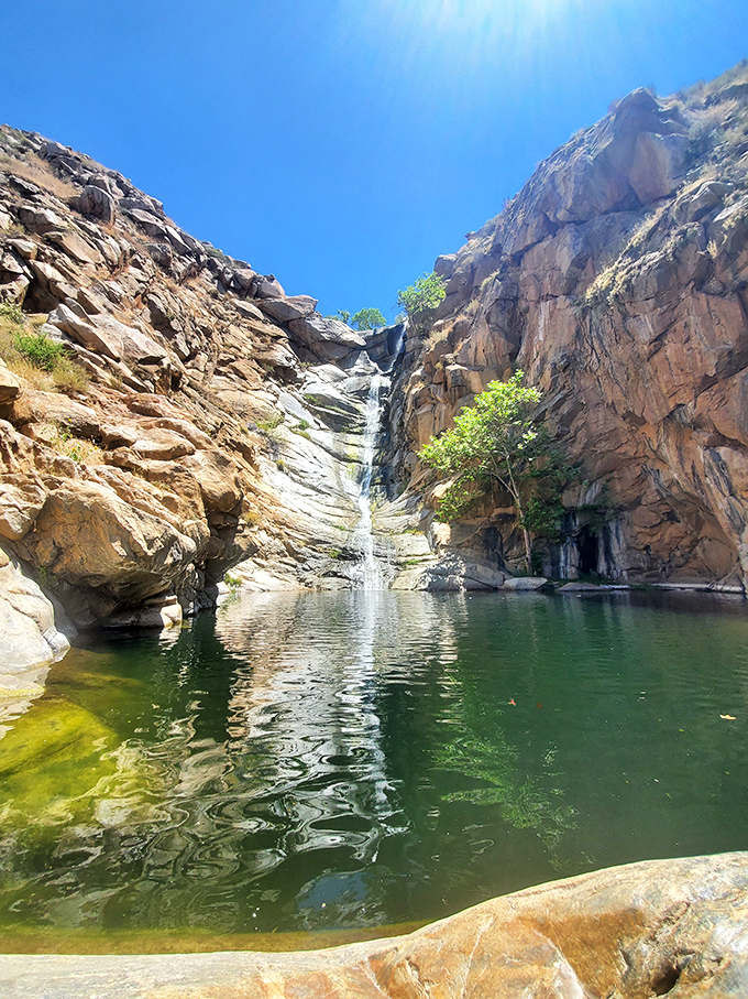 Summer's secret handshake: When the waterfall thins during warmer months, it reveals intricate rock patterns that winter visitors never get to appreciate.