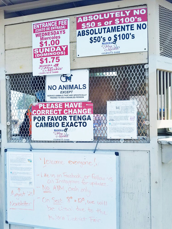 The rules of engagement: Cash is king, exact change is appreciated, and leave Fido at home. Your $1.75 Sunday admission is the best investment you'll make all week.