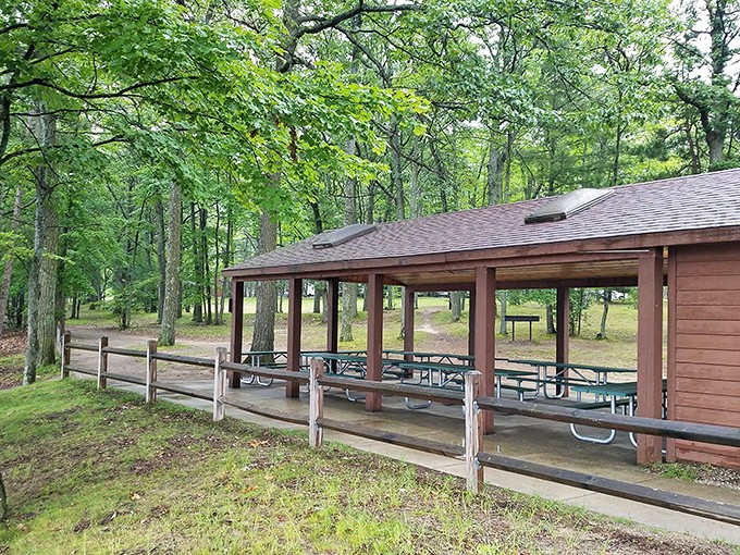 This rustic pavilion offers shade when you've had enough sun, proving that even paradise occasionally needs a roof.