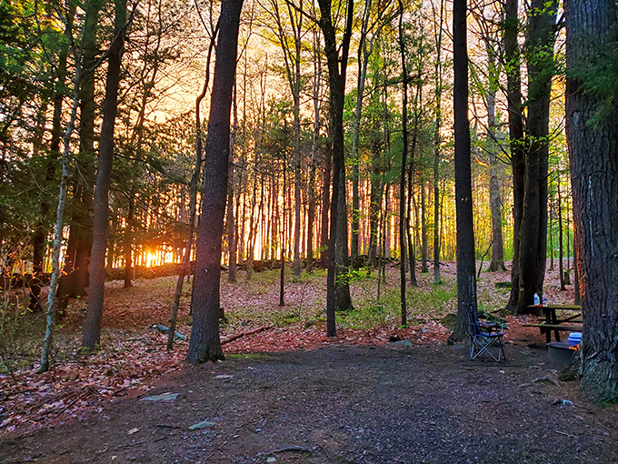 Golden hour magic filters through the trees, turning an ordinary campsite into what feels like the opening scene of a Spielberg film.