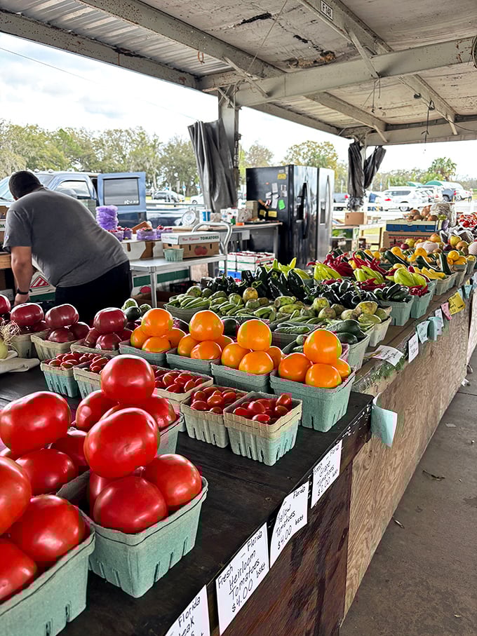 Nature's color palette on full display—these tomatoes and oranges haven't been airbrushed for Instagram; they're just showing off Florida's natural bounty.