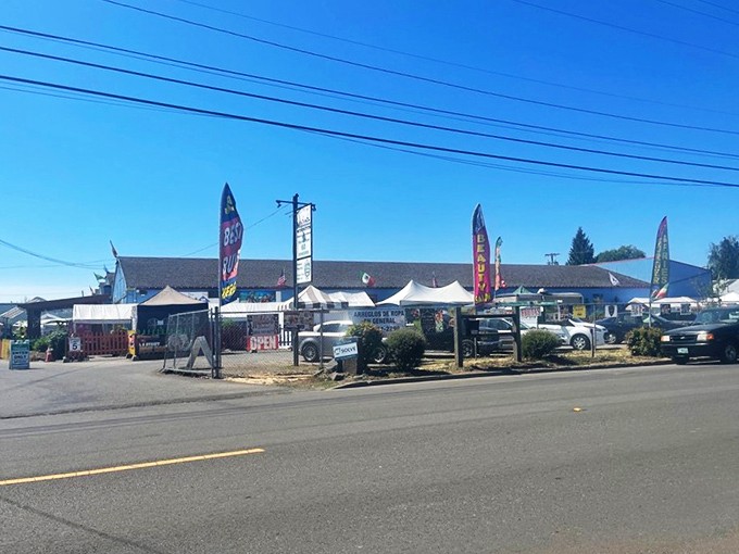 Weekend warriors, take note! The outdoor vendor area transforms the parking lot into a festive open-air bazaar where treasure hunting reaches Olympic-level sport status.