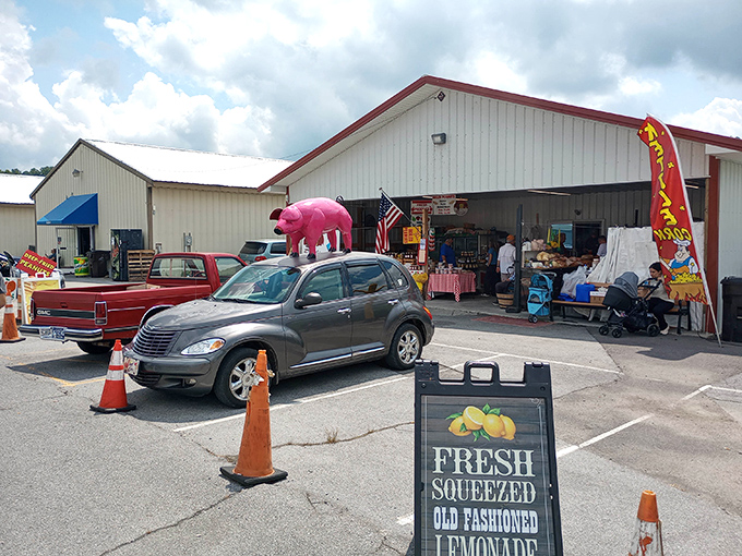 That classic roadside sign against the Tennessee blue sky &ndash; the universal symbol for "turn here, bargain hunters!"