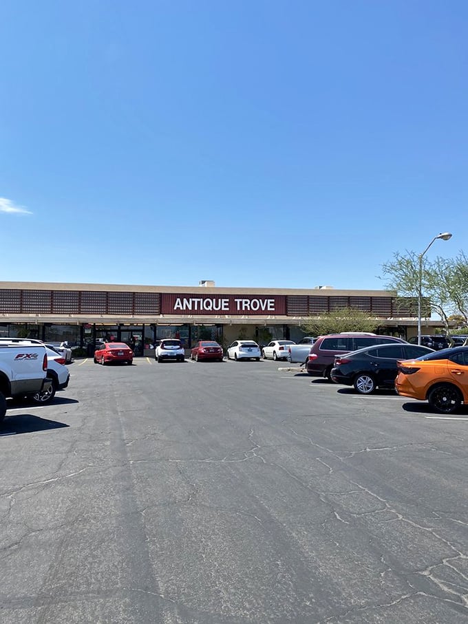 The parking lot tells the story: Arizonans know where to find weekend adventure without needing sunscreen or hiking boots.