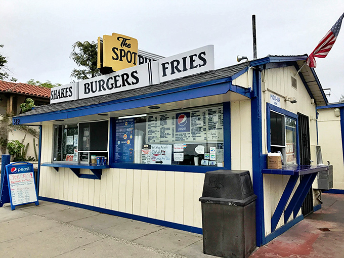 That yellow and blue sign might as well say "Happiness Served Here" – The Spot's straightforward menu board is a refreshing antidote to overcomplicated dining.