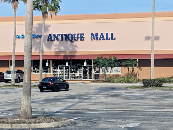 Palm trees frame this treasure hunter's paradise like nature's exclamation points. Florida sunshine bounces off the windows, offering glimpses of wonders within.