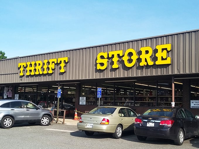 The parking lot tells its own story&mdash;luxury sedans parked next to weathered hatchbacks, united by the universal thrill of the hunt.