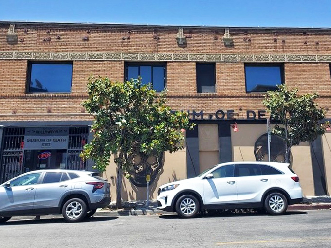 Nestled among Hollywood's brick buildings, this macabre museum stands in stark contrast to the glitz and glamour just blocks away.