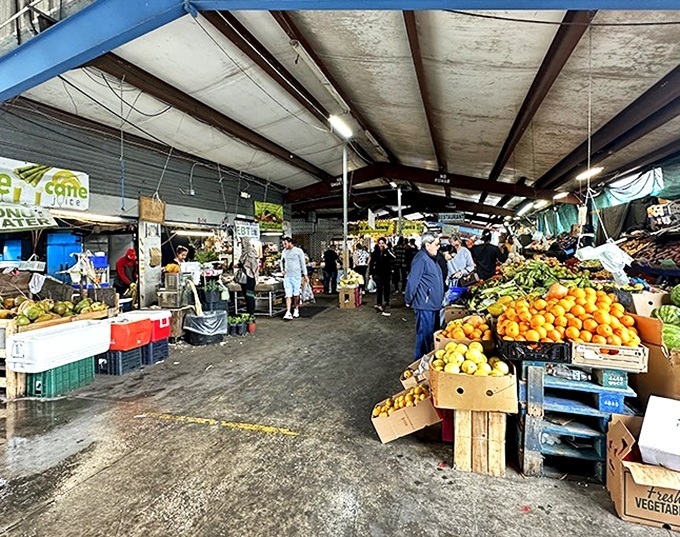 A produce paradise where oranges stack like edible sunshine and vegetables arrive fresher than your morning coffee.