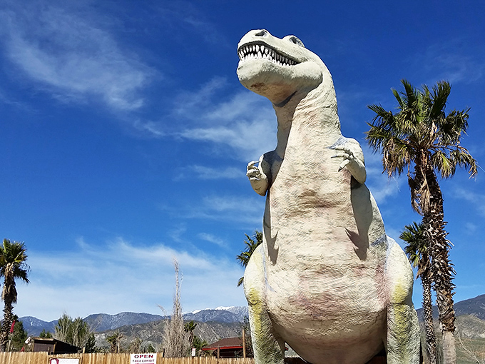 Mr. Rex strikes his most intimidating pose against the brilliant blue California sky. Those tiny arms never stopped him from becoming an icon.