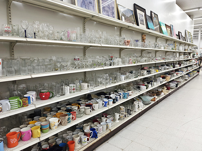 Crystal kingdom! Glassware and mugs line the shelves like a museum of domestic history where everything's for sale.