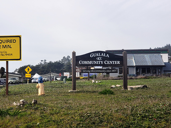 The Gualala Community Center stands as the beating heart of local life, where potlucks and poetry readings share equal billing with town meetings.