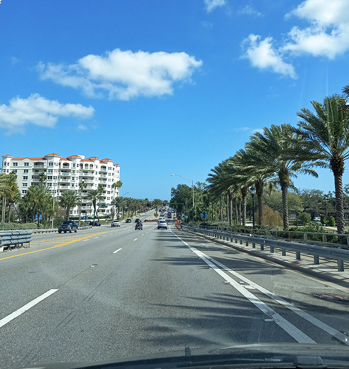 The road to relaxation is lined with palm trees in Ormond Beach, where traffic jams involve deciding which beach access to choose first.