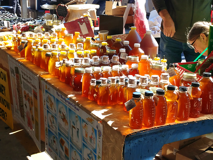 Golden honey jars lined up like amber jewels, each one a sweet love letter from Florida bees.