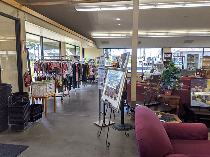 Step inside and prepare for sensory overload. The store's organized chaos invites you to explore aisles where vintage furniture mingles with yesterday's fashion finds.