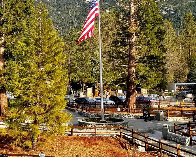 The American flag stands proud against a backdrop of evergreens. In Idyllwild, patriotism comes with a refreshing pine scent.