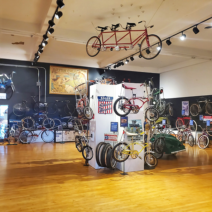 A two-wheeled wonderland awaits inside, with bicycles suspended from the ceiling and displayed throughout the polished wooden floors, like a mechanical garden in full bloom.