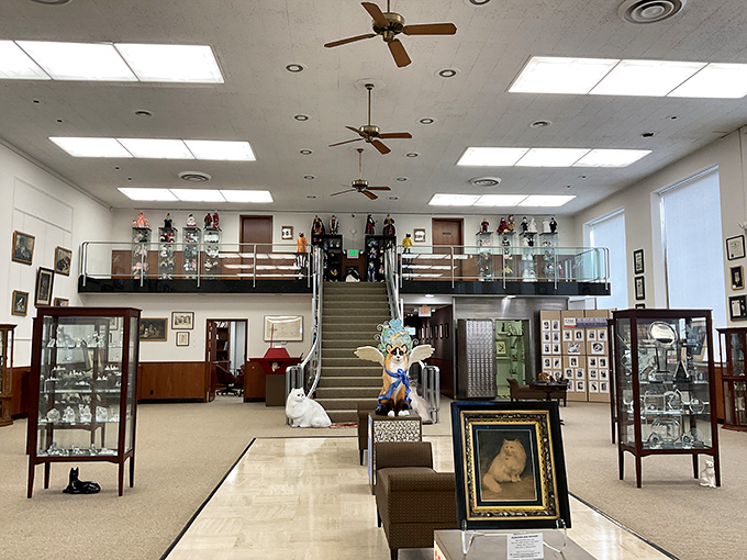 A grand staircase leads to the upper level, while display cases filled with cat treasures beckon visitors into a world of whisker-filled wonder.
