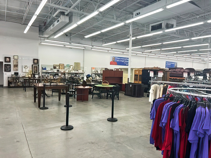 Spacious aisles and bright lighting transform the thrifting experience from chaotic rummaging to civilized treasure hunting. Indiana Jones would approve.