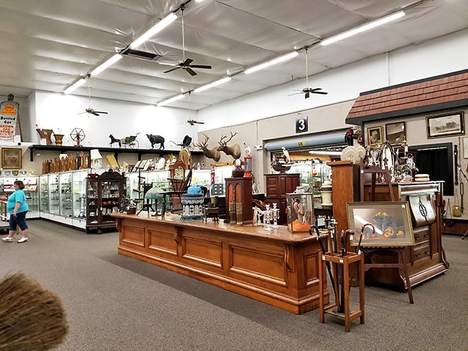 Grand wooden counters anchor this spacious section where taxidermy meets fine furniture. It's like walking into a museum where everything has a price tag.
