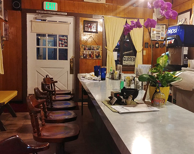 Classic counter seating that whispers tales of decades past. Those wooden swivel stools have supported generations of happy eaters seeking burger bliss.