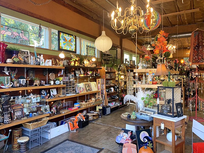 Step inside and the sensory overload begins &ndash; vintage chandeliers illuminate a wonderland of collectibles that would make Marie Kondo hyperventilate.