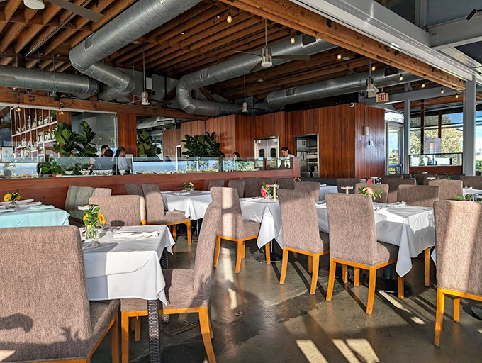 Warm wood paneling meets industrial chic in this dining room where every table feels special. Sunlight streams through windows, turning ordinary lunches into California daydreams. 