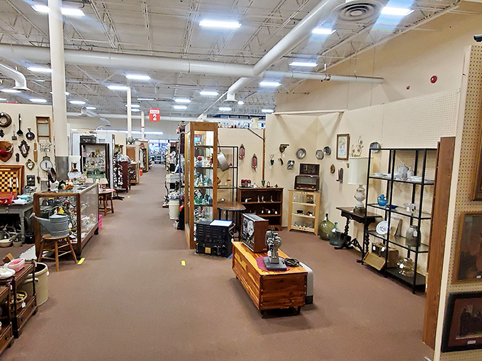 Aisles stretch into infinity, each booth a chapter in America's story. The hunt begins where fluorescent lights illuminate decades of memories.