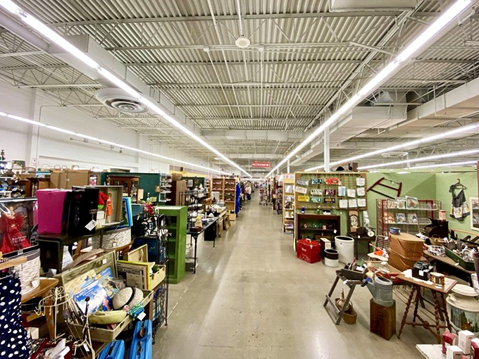 The endless aisles stretch like a time-traveling department store, where every shelf holds someone's past ready to become part of your future.