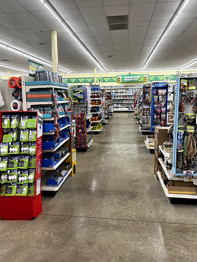 Aisles stretching toward budget nirvana, where everyday necessities and unexpected delights coexist in fluorescent-lit harmony.