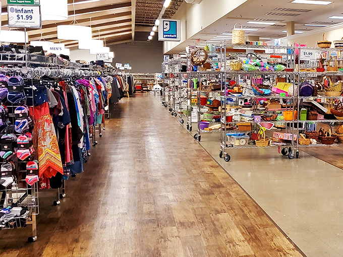 Wide, well-organized aisles make treasure hunting a pleasure rather than an expedition requiring machetes and a compass.