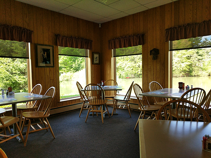 Sunlight streams through windows framing Pennsylvania's natural beauty, turning simple wooden tables into front-row seats for nature's show.