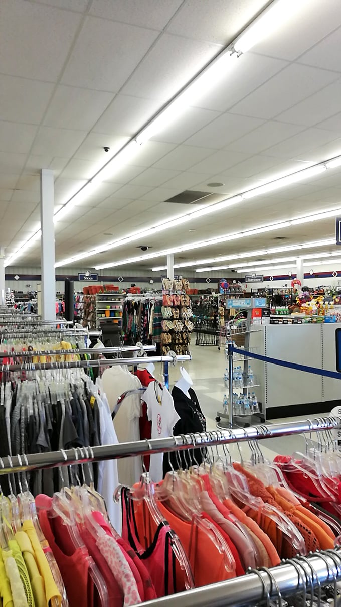 Racks upon racks of possibility stretch before you in this organized thrifter's dream. Every aisle promises unexpected discoveries.