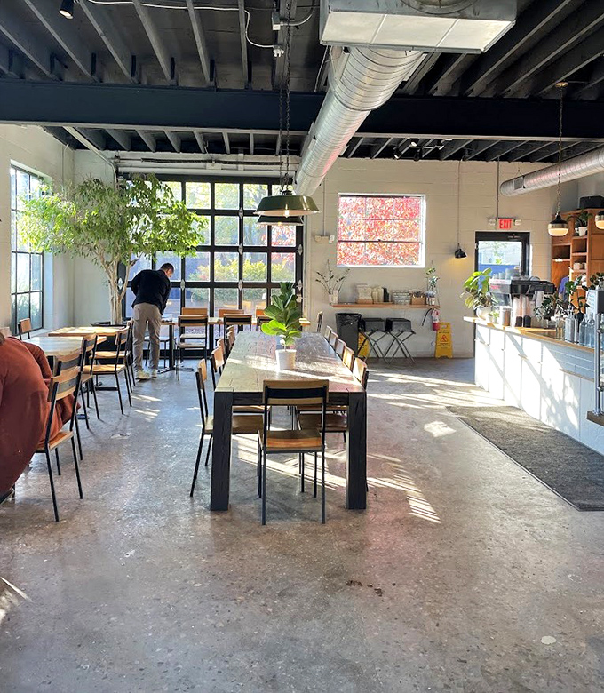 Sunshine streams through windows illuminating concrete floors and exposed beams. This converted garage space feels both airy and intimate&mdash;industrial bones with a warm heart.