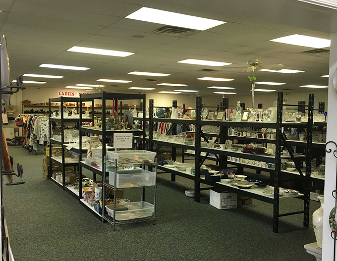 Organized chaos at its finest! Shelves upon shelves of potential treasures await eagle-eyed shoppers ready to discover their next conversation piece.