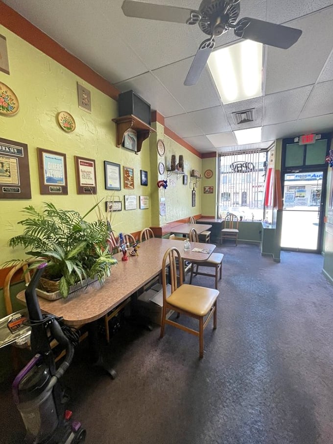 Step inside and you're transported to a cozy Polish grandmother's kitchen, complete with cheerful yellow walls and decorative plates that tell stories of Old World charm.