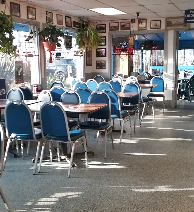 Blue chairs and maritime photos create the perfect backdrop for seafood feasting – no pretension, just the promise of deliciousness.