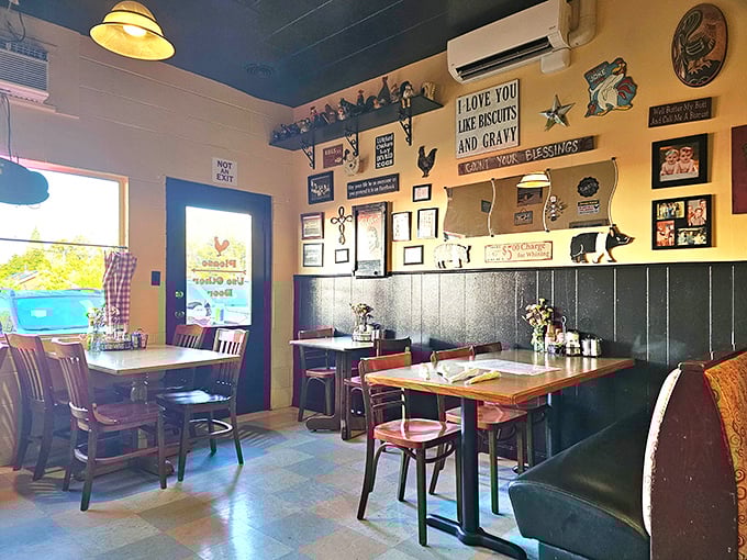 Nautical treasures adorn every inch of wall space, creating the feeling you've stumbled into a sea captain's personal museum where the only admission fee is ordering something delicious.