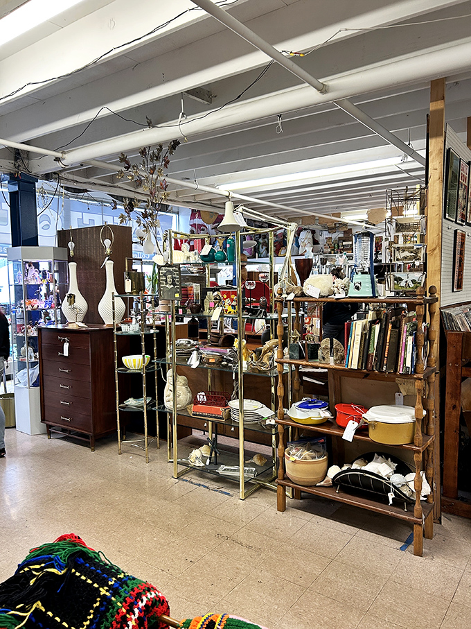 Shelves stacked with memories and possibilities. Each aisle promises discoveries that'll make you text friends: "You won't believe what I found!"